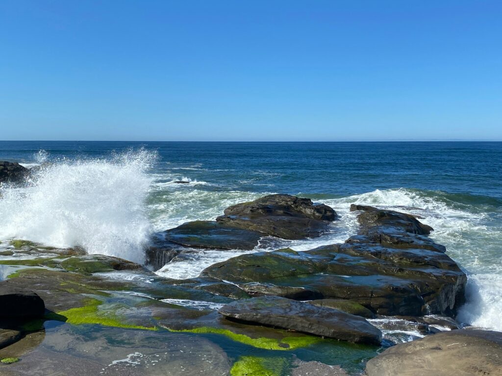 Senator Dick Anderson Recaps Successful Central & Southern Oregon Coast ...